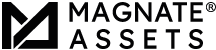 Blog | Magnate Assets